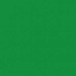 Oracal 651-062 Light Green Color Vinyl Series | Signfilm